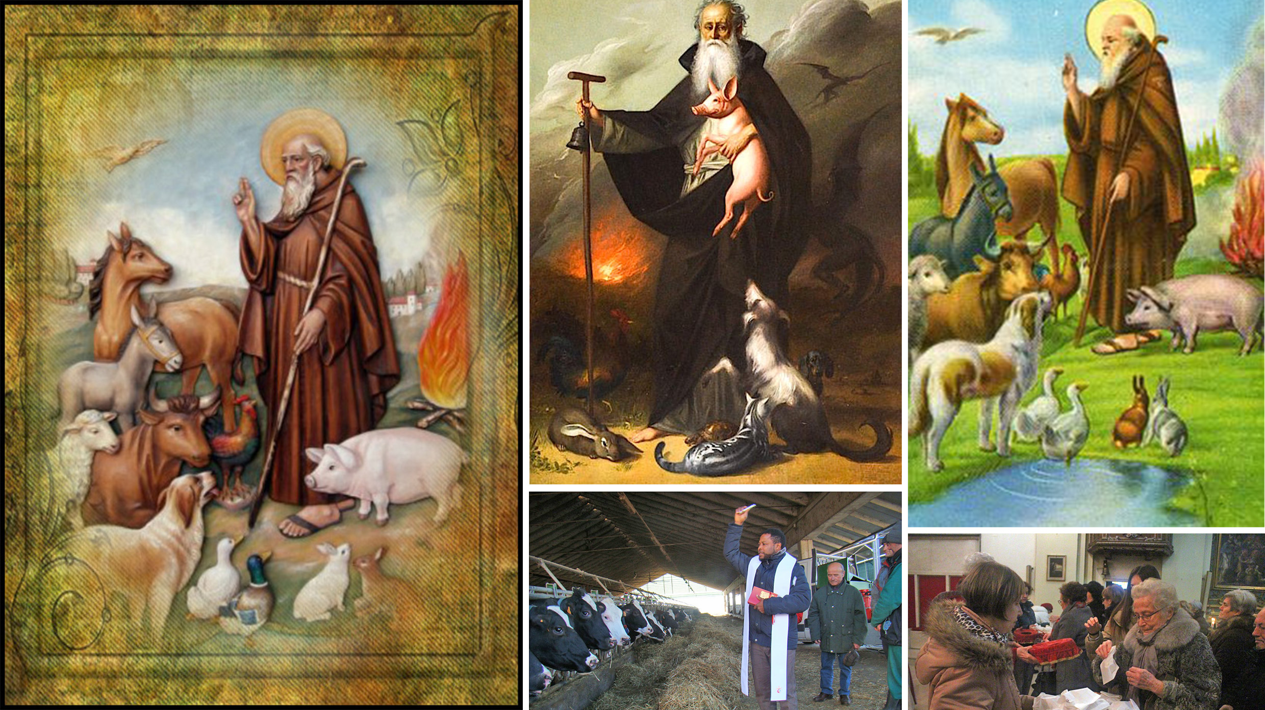 Sant'Antonio Abate: l'antica tradizione nelle terre di fiume - OglioPoNews