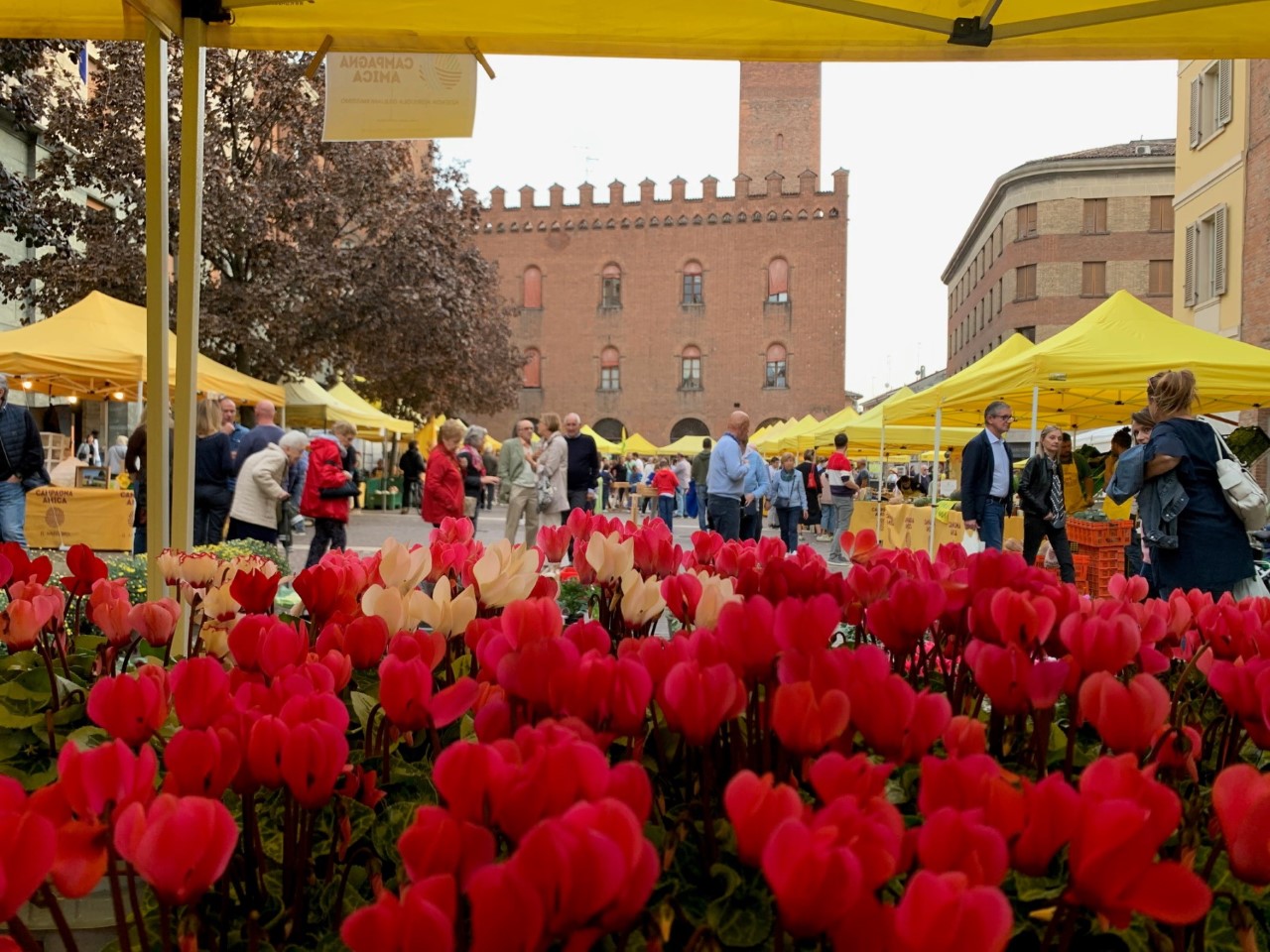 Cremona, Campagna Amica domenica in piazza Stradivari - OglioPoNews