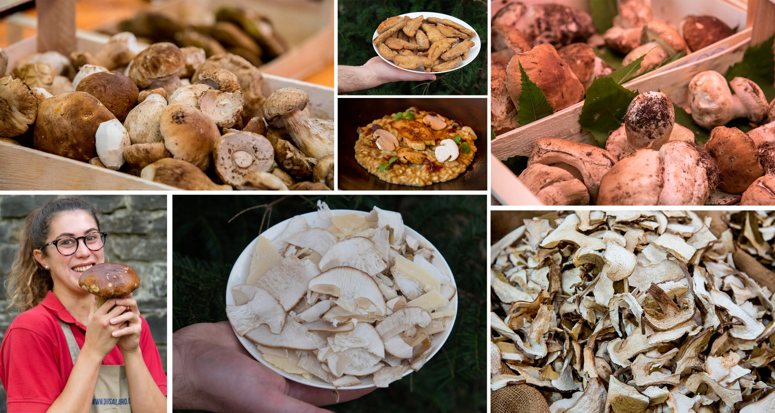 Dal 29 settembre, Fiera Nazionale del Fungo Porcino di Albareto (PR ...